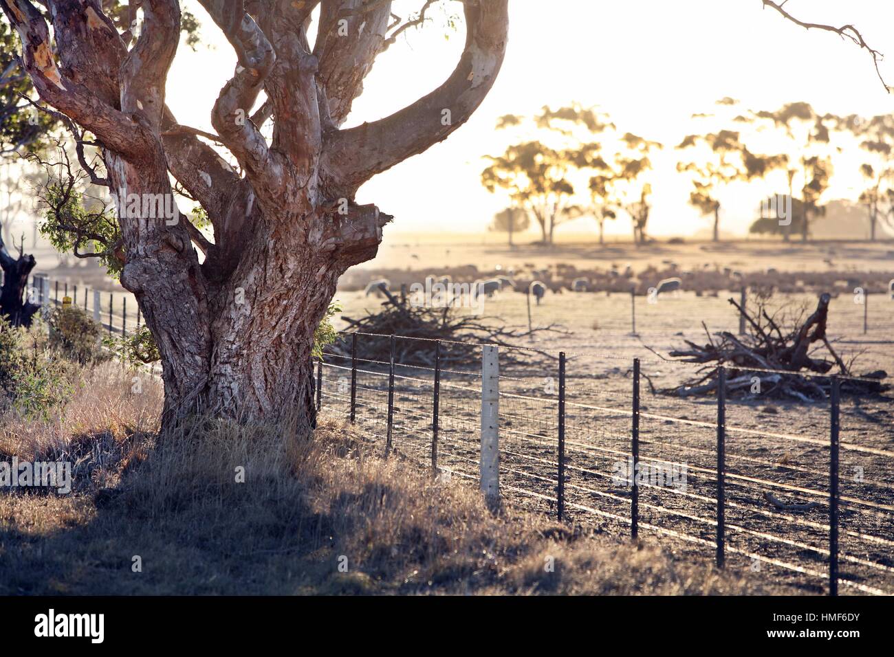 Country victoria hi-res stock photography and images - Alamy