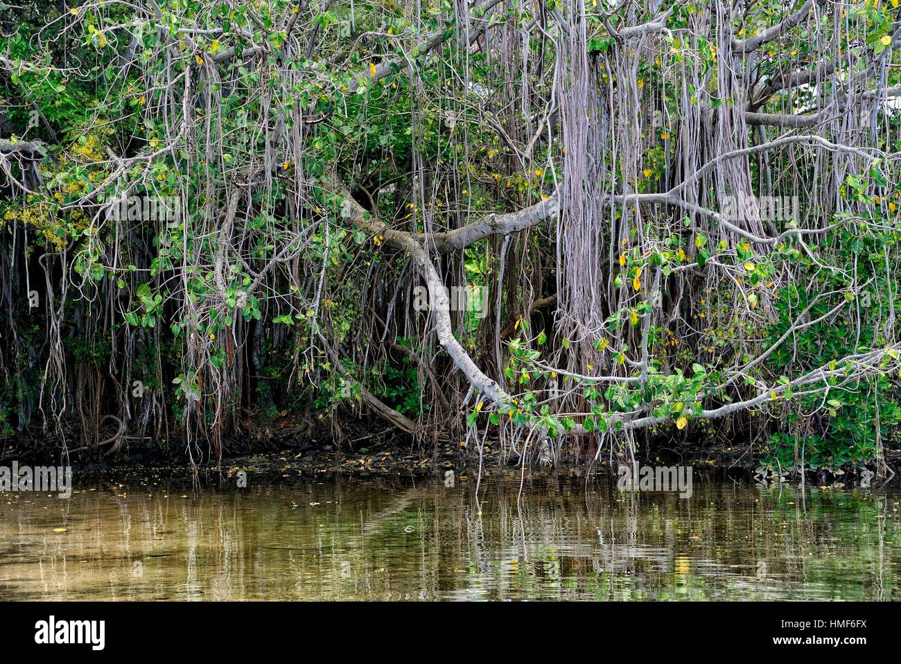 Mascarene islands mahebourg hi-res stock photography and images - Alamy