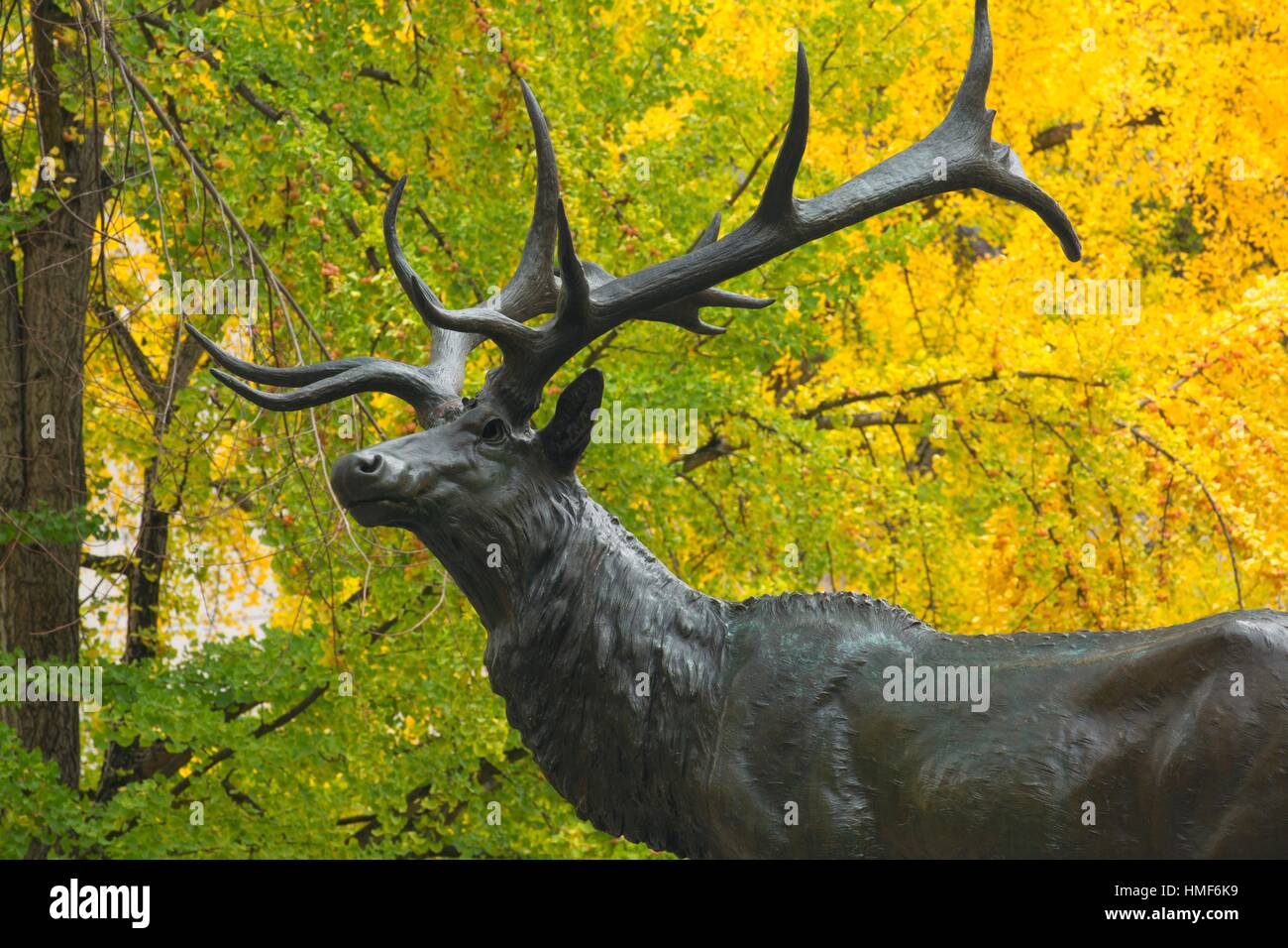 Chapman square hi-res stock photography and images - Alamy