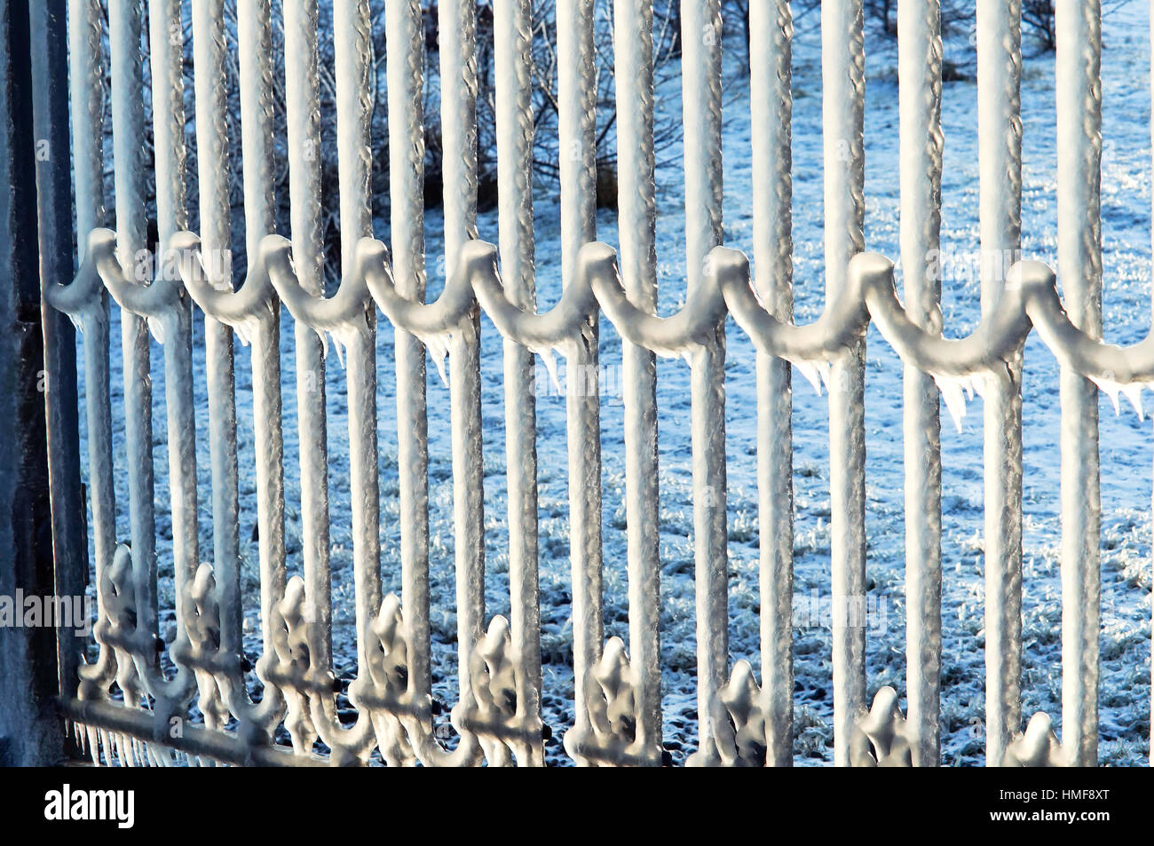 frozen items, cold day, frozen, icy, ice-covered Stock Photo - Alamy