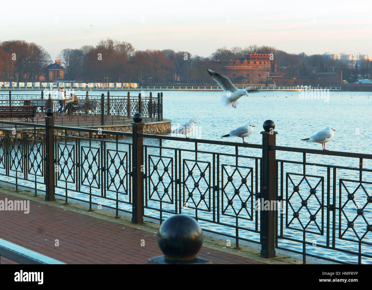 fence of wrought iron on the lake, fence the lake shore Stock Photo - Alamy