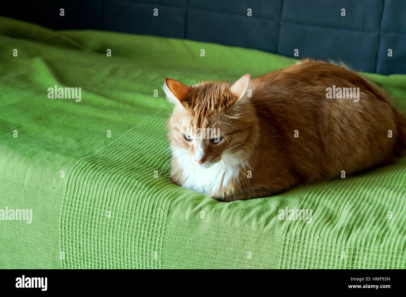 We Love The Way This Home Looks Upon Entering The Pendant