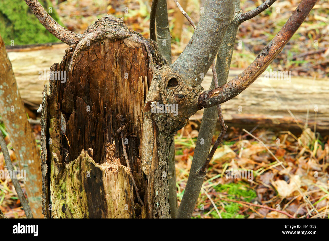 Broken boulders hi-res stock photography and images - Alamy
