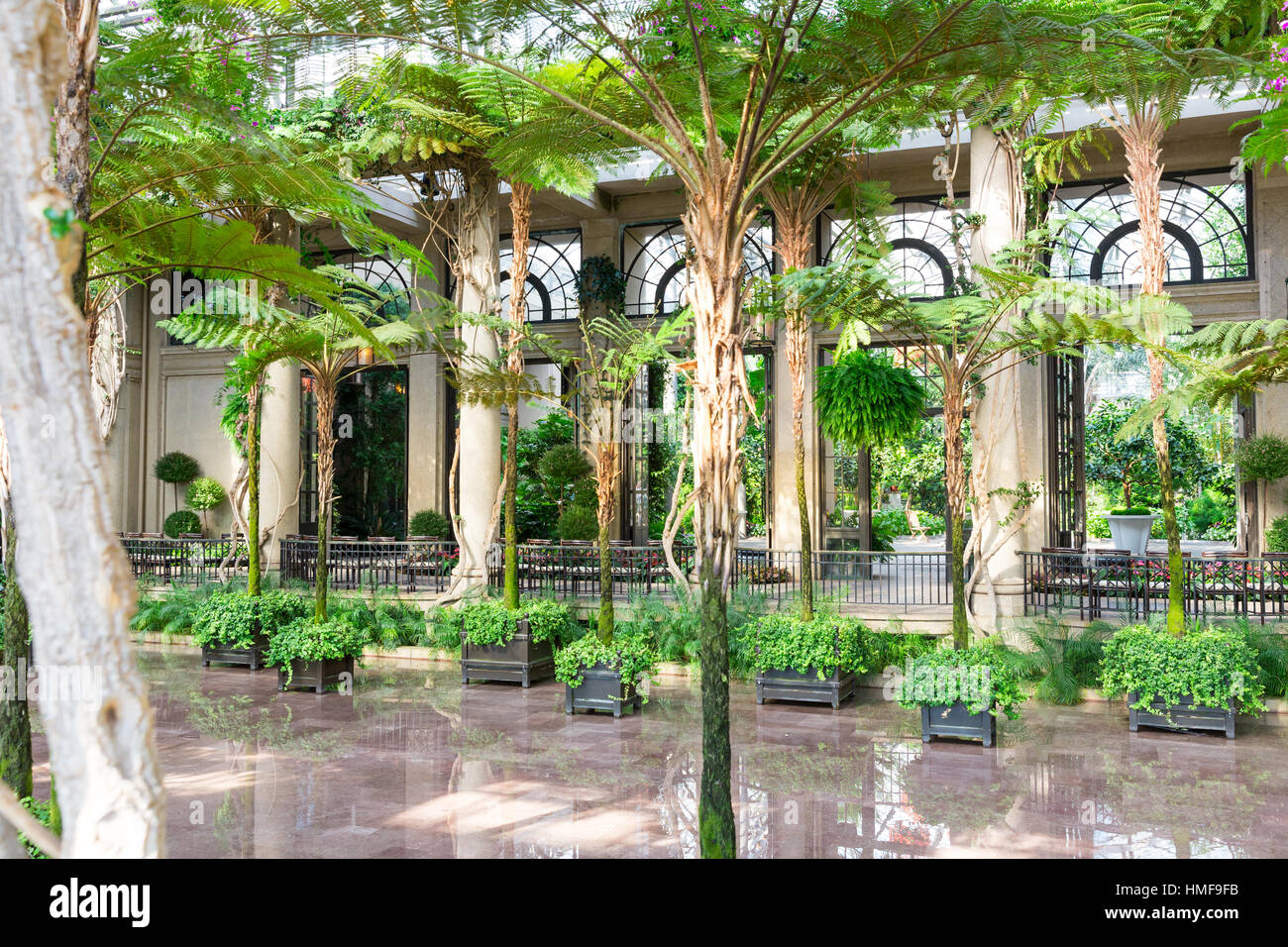 Different trees and plants in the botanical garden with glassed roof ...