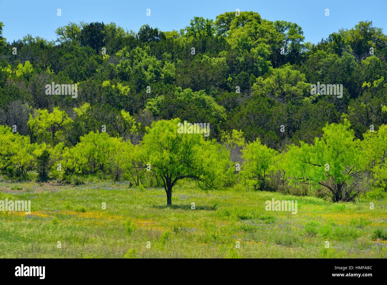 Burnet county hi-res stock photography and images - Alamy