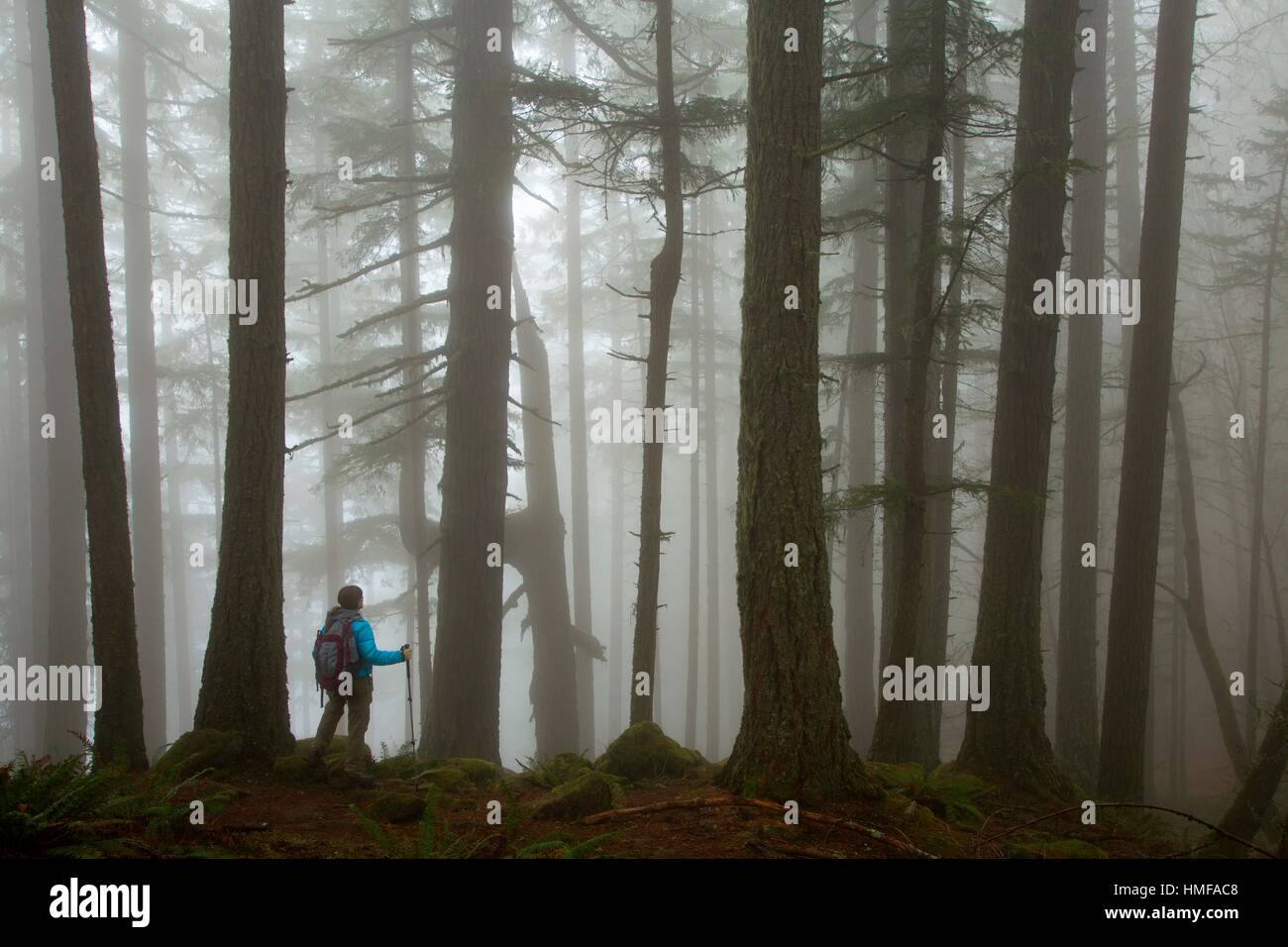 Spencer Butte High Resolution Stock Photography and Images - Alamy