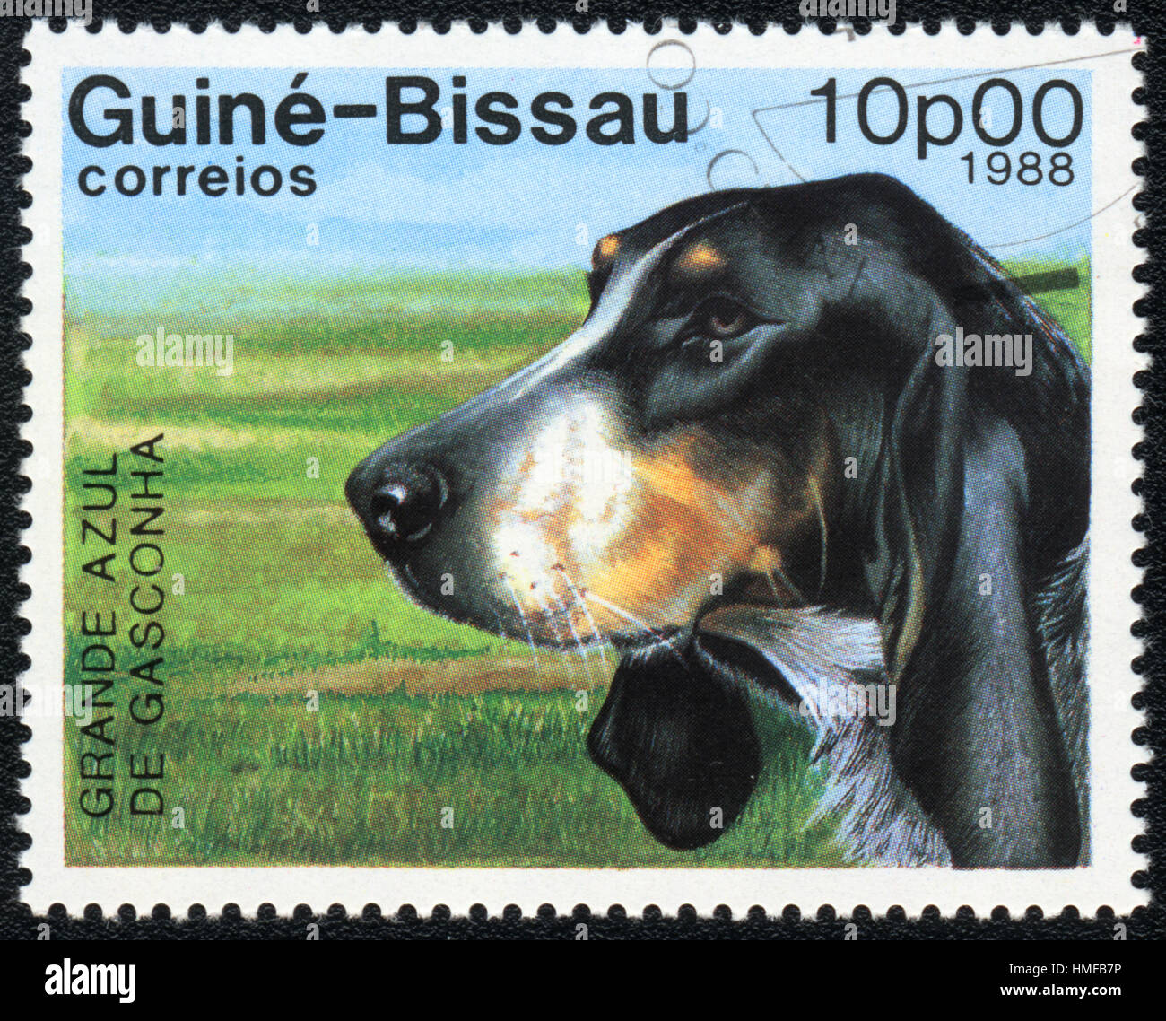 A postage stamp printed in Guinea-Bissau shows a dog Griffon Bleu de ...