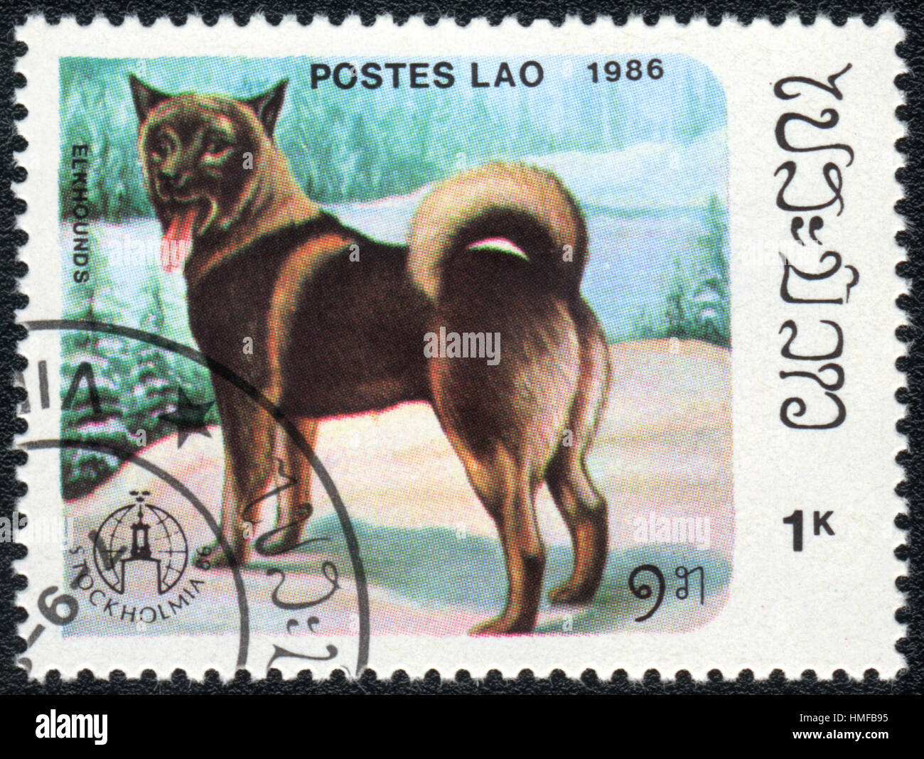 A postage stamp printed in Aos shows a dog Norwegian Elkhound, from ...