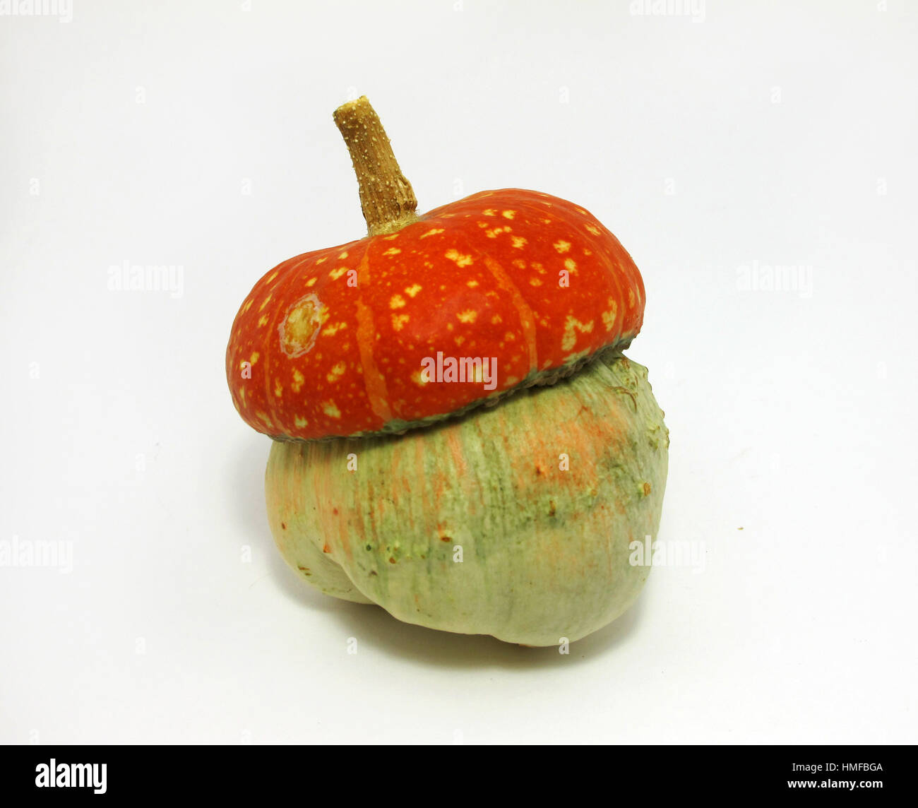 Small tiny pumpkin hi-res stock photography and images - Alamy