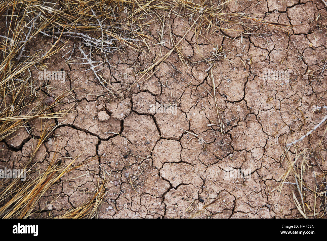 Cracked parched earth hi-res stock photography and images - Alamy