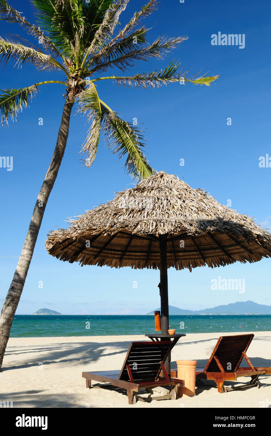 Tropical China beach with coconut palm near Hoi An, Vietnam Stock Photo ...
