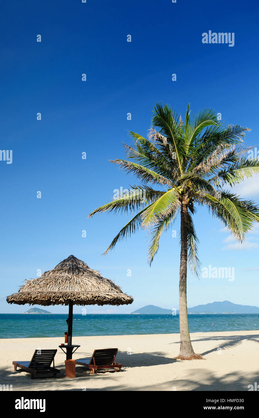 Tropical China beach with coconut palm near Hoi An, Vietnam Stock Photo ...