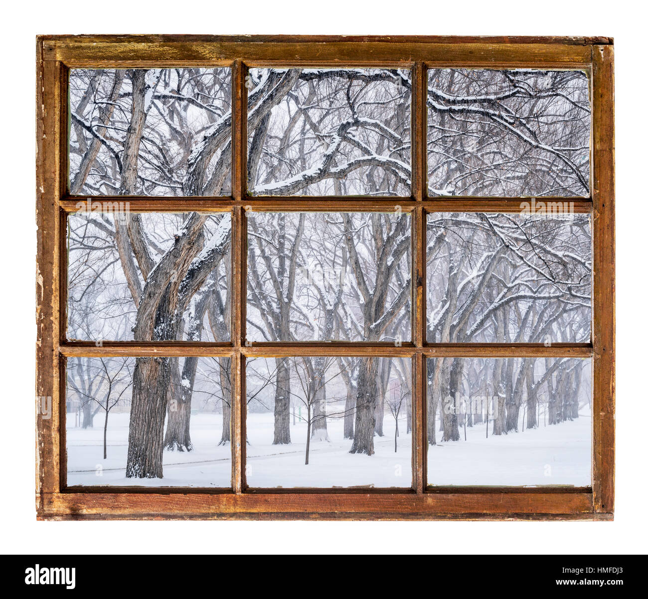 Old trees alley Cut Out Stock Images & Pictures - Alamy