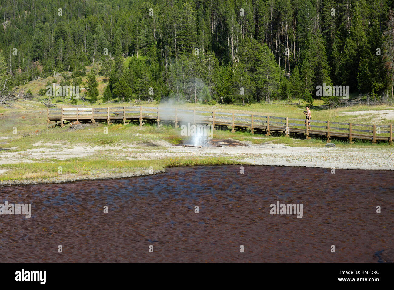 Lower Geyser Basin, Yellowstone National Park, Wyoming, USA Stock Photo ...