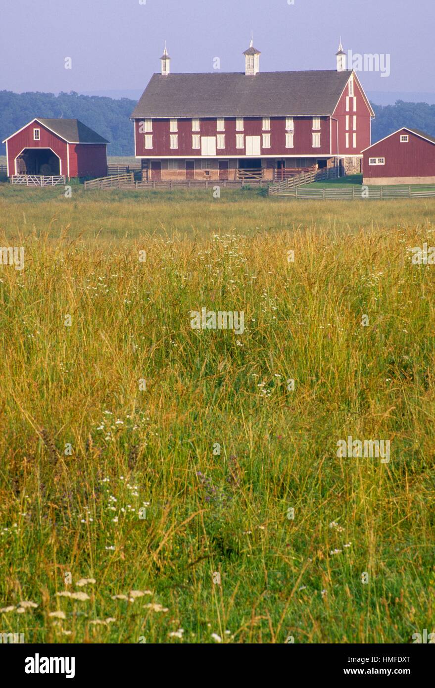 Codori barn hi-res stock photography and images - Alamy