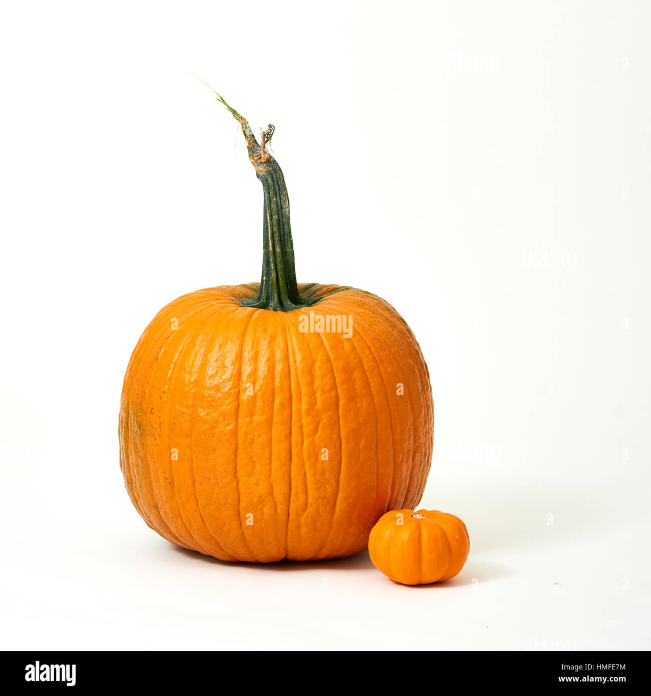 Big pumpkin with handle with small pumpkin on the side Stock Photo - Alamy
