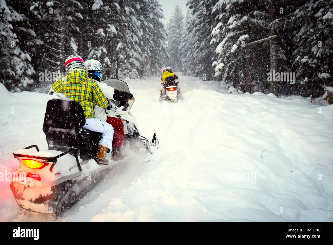 Snow mobile in blizzard through the woods and forest Stock Photo - Alamy