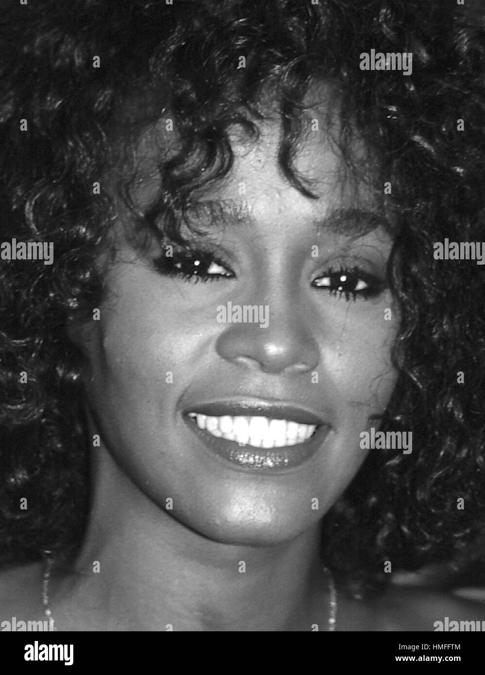 Whitney Houston reveives the United Negro College Fund Award in New ...