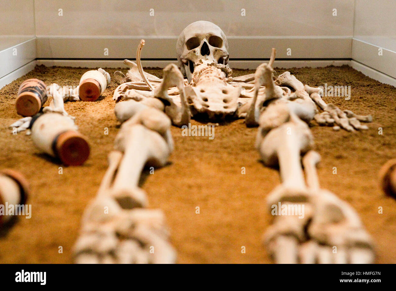 Skeleton from ancient cemetery in hi-res stock photography and images ...