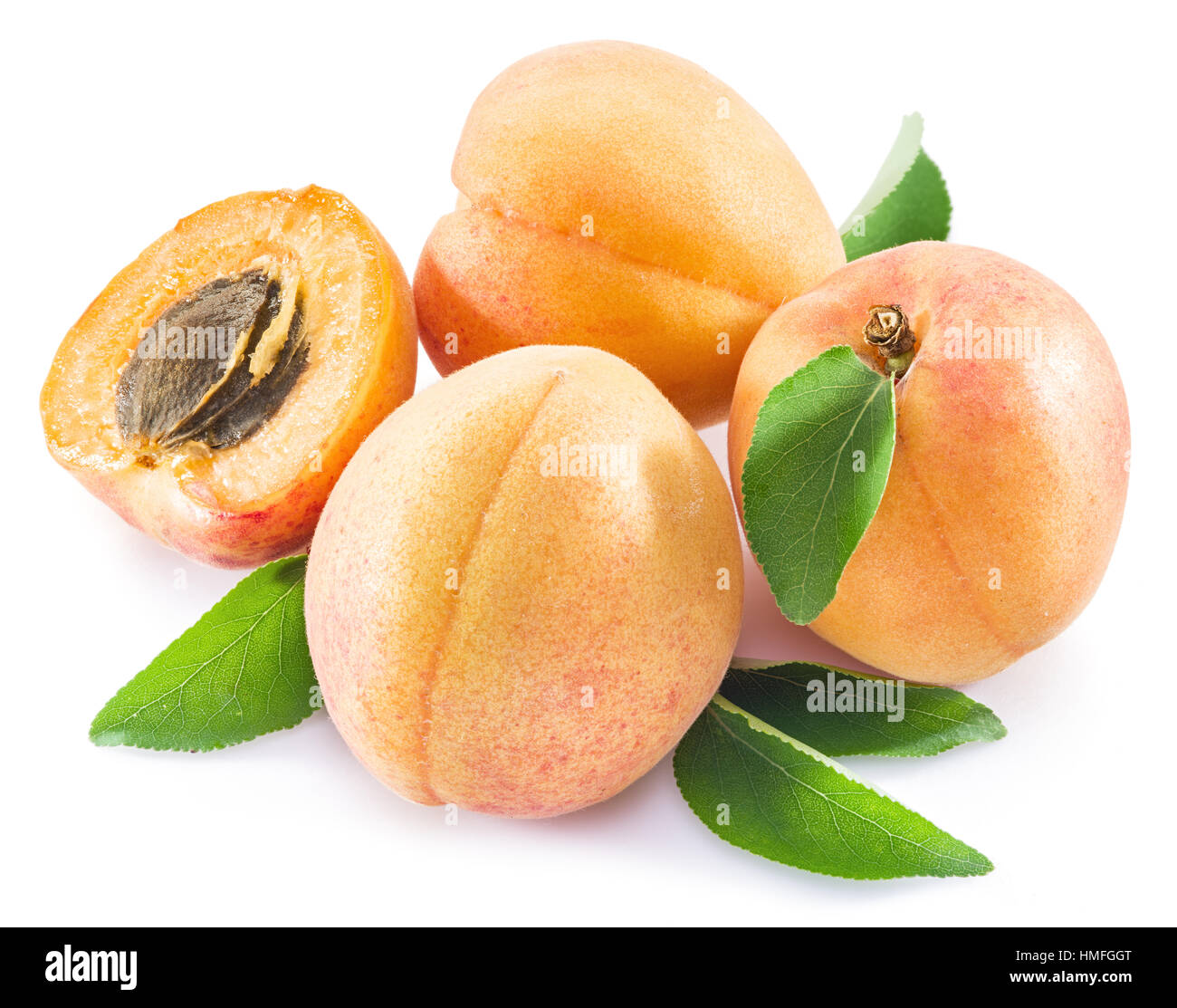 Apricot fruits and its cross-section on the white background Stock ...