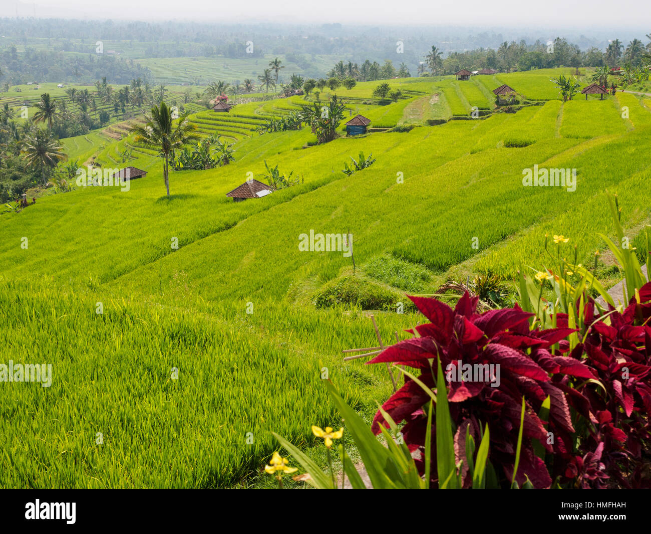 Rural southeast asia hi-res stock photography and images - Alamy