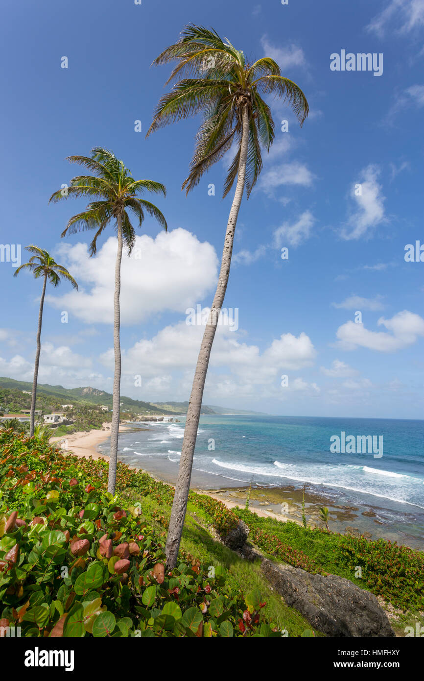 Bathsheba Beach, Bathsheba, St. Joseph, Barbados, West Indies ...