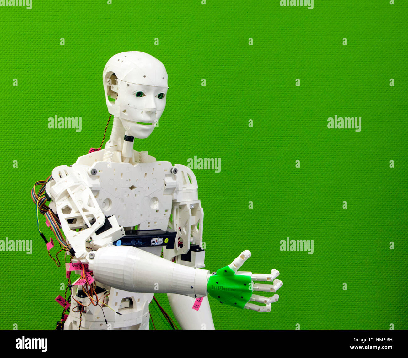 Humanoid robot Bob of the start up company IOX Lab Stock Photo - Alamy