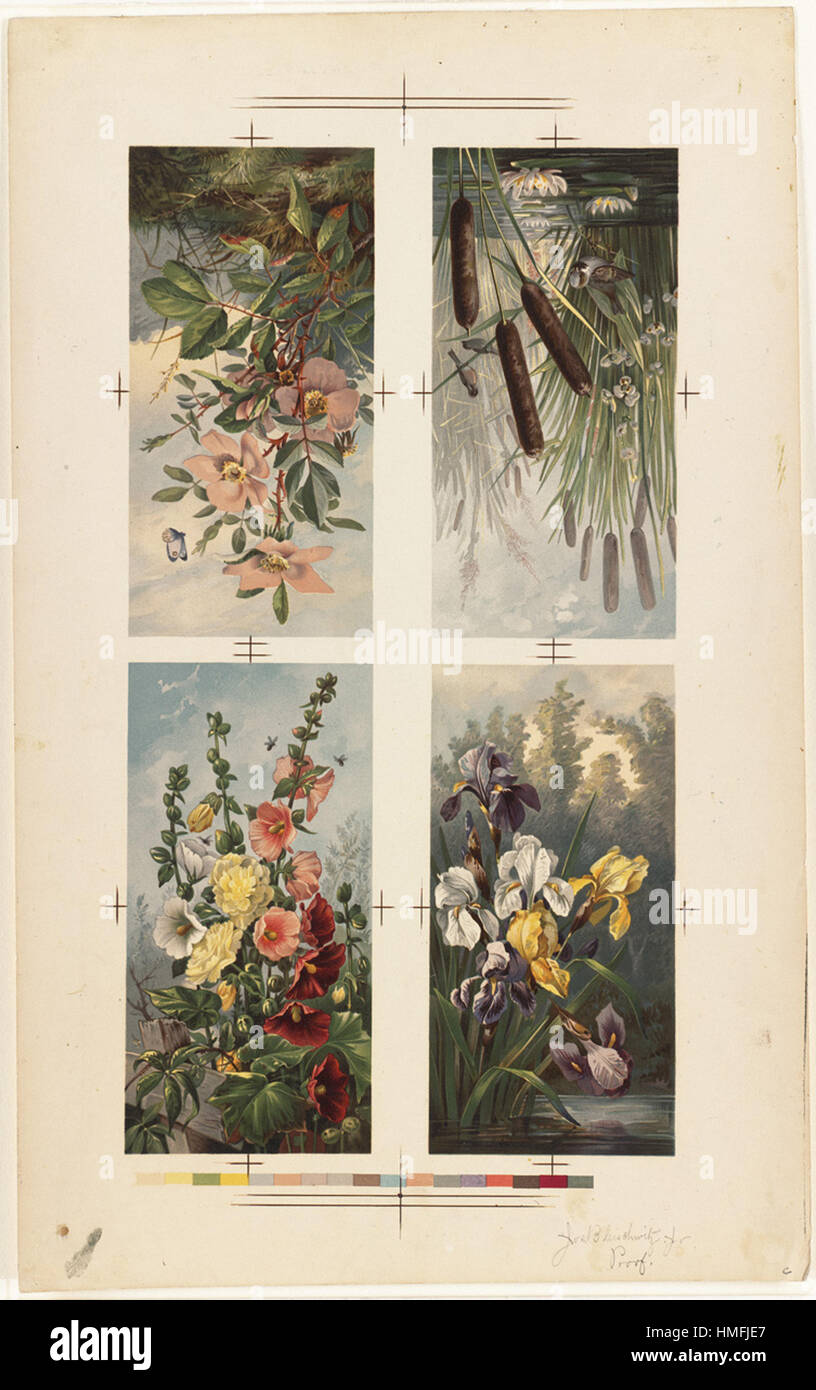 Louis Prang - Four Groups of Flowers on One Sheet Stock Photo - Alamy