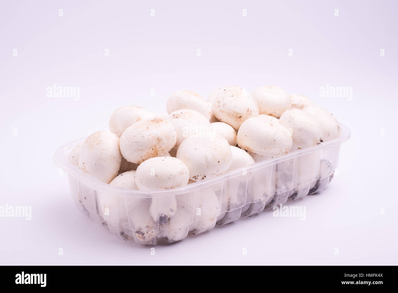 champignon - agaricus bisporus mushroom Stock Photo - Alamy