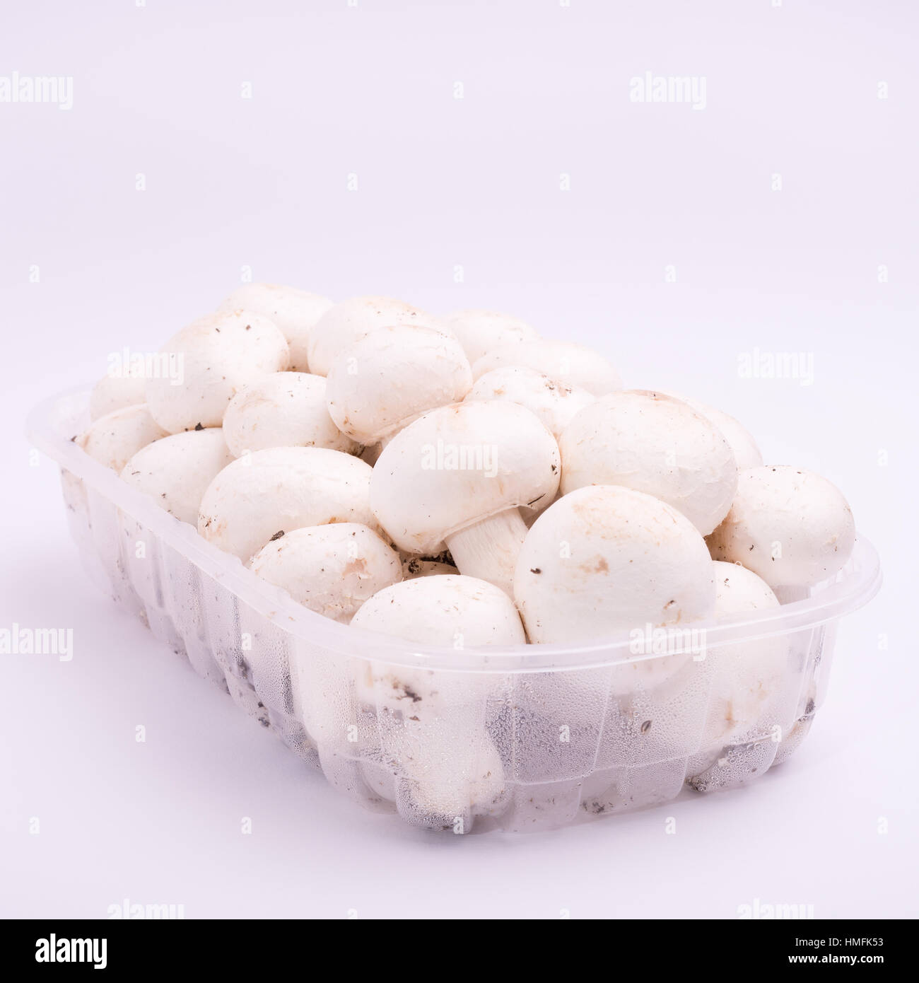 champignon - agaricus bisporus mushroom Stock Photo - Alamy