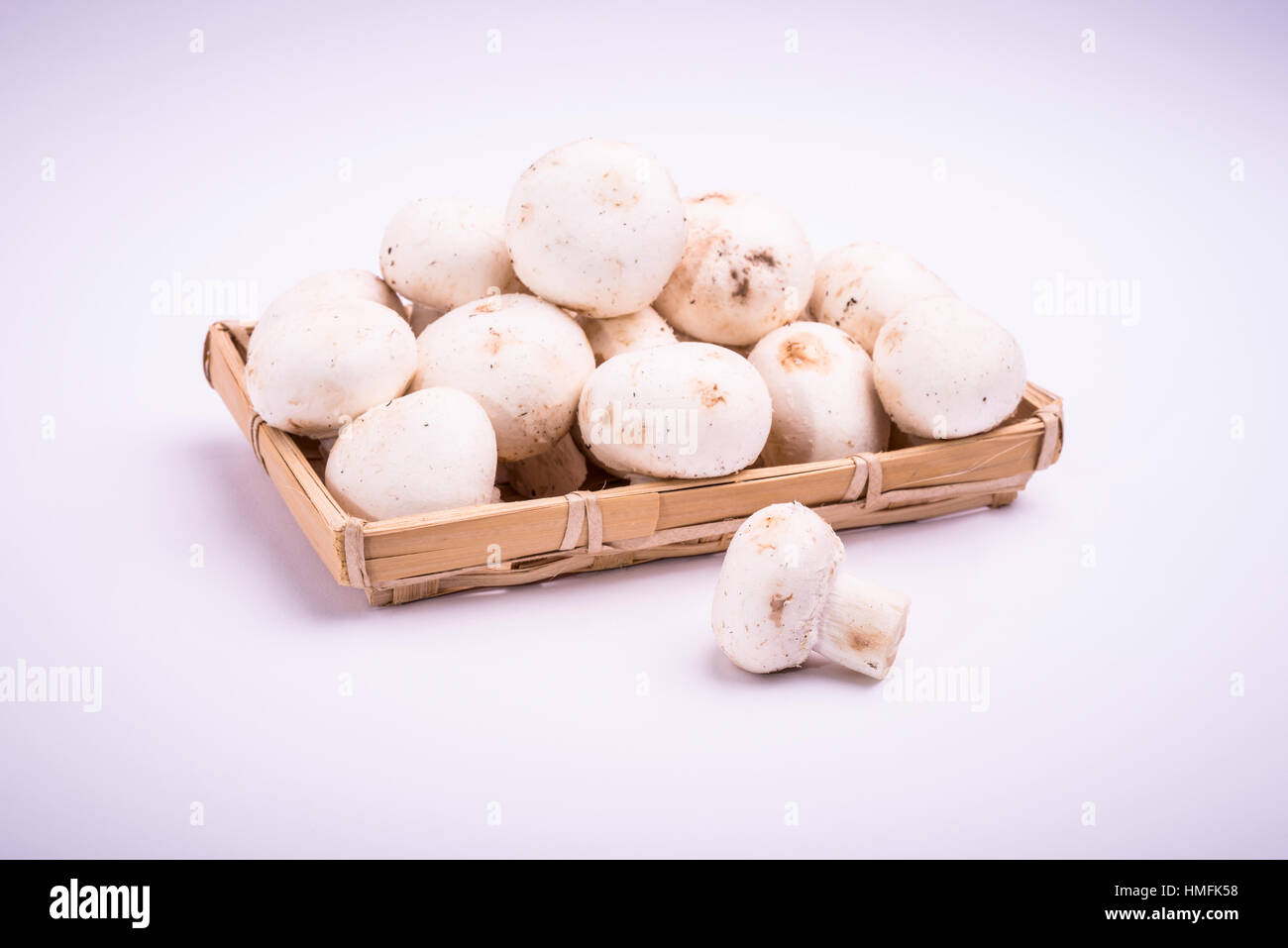 champignon - agaricus bisporus mushroom Stock Photo - Alamy
