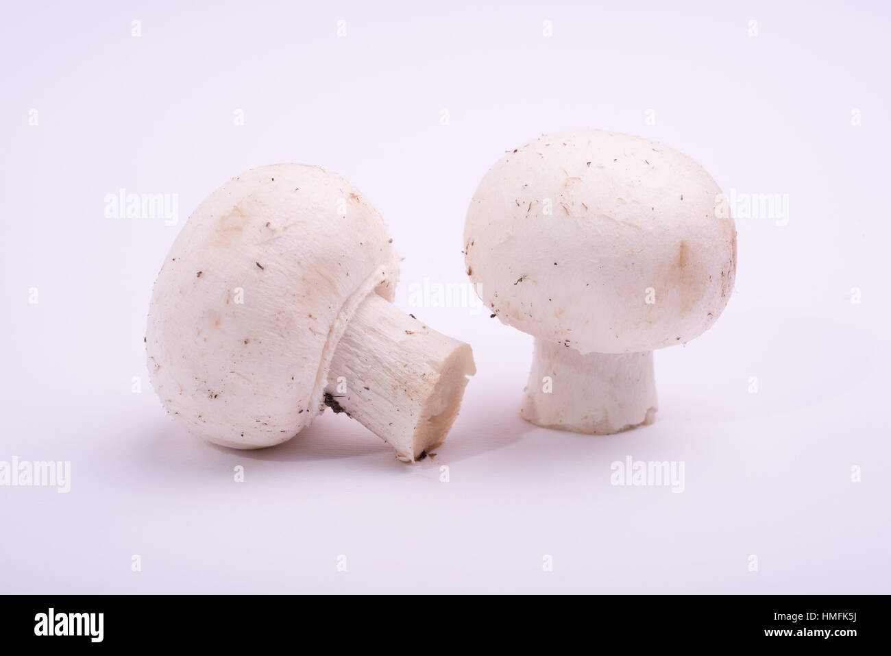 champignon - agaricus bisporus mushroom Stock Photo - Alamy