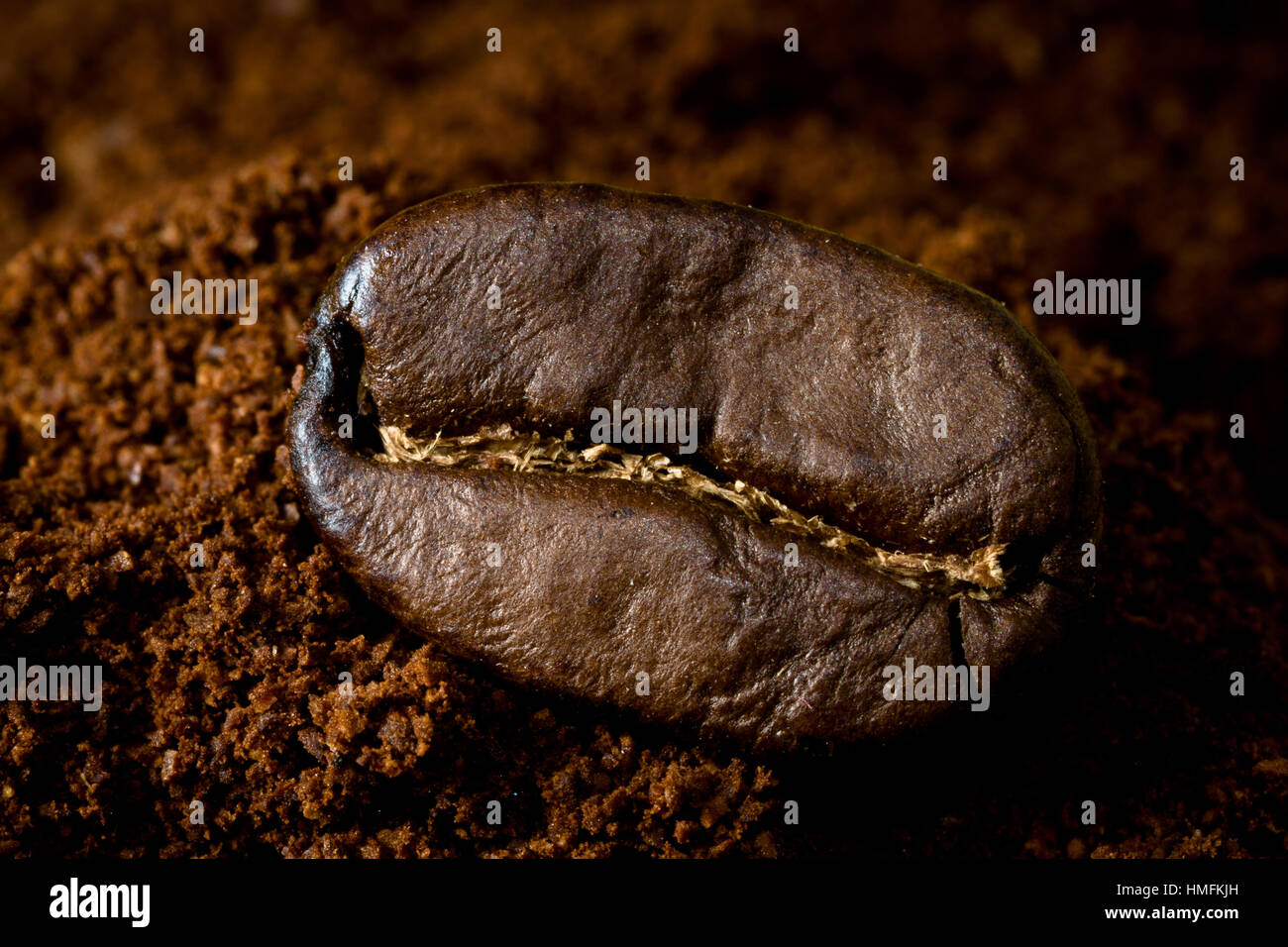 coffee beans and powder Stock Photo - Alamy