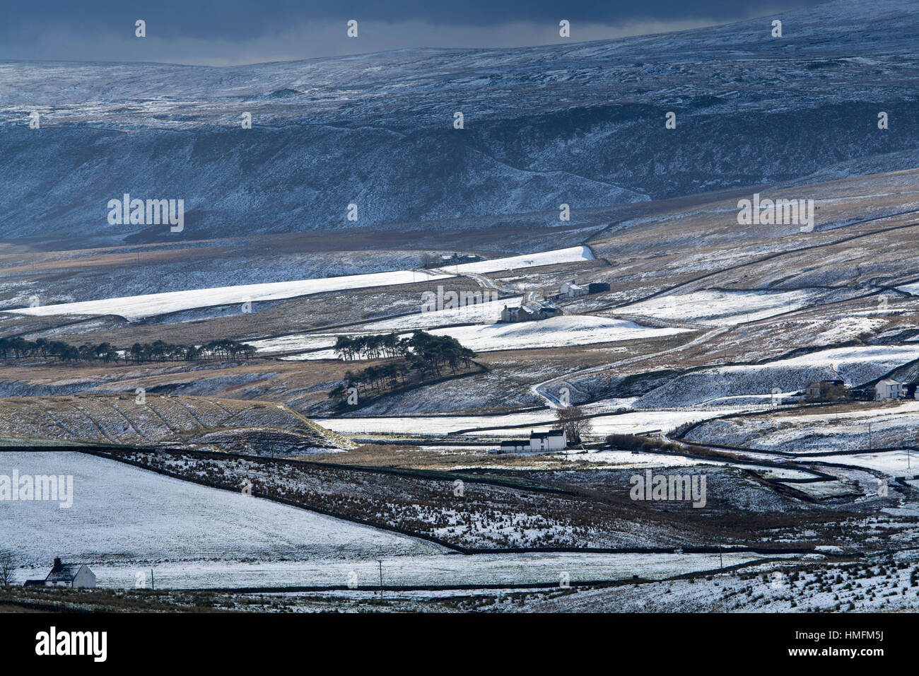 Harwood dale forest hi-res stock photography and images - Alamy