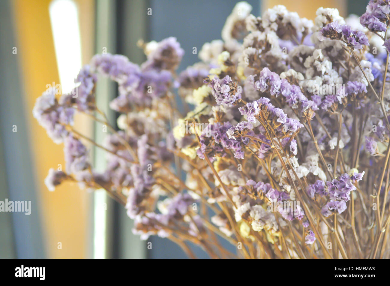Closeup beautiful dried statice hi-res stock photography and images - Alamy