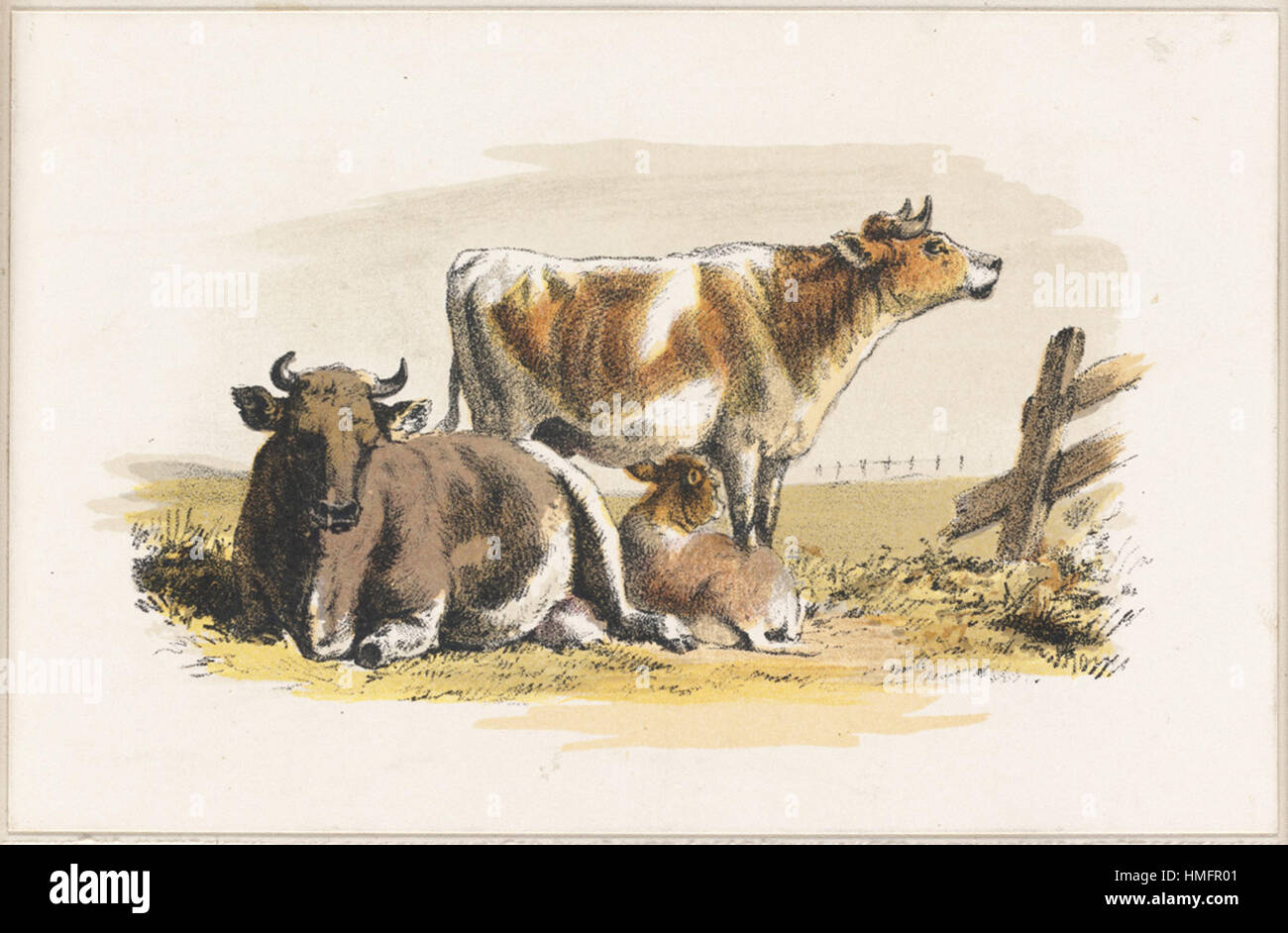Louis Prang - Cows Stock Photo - Alamy