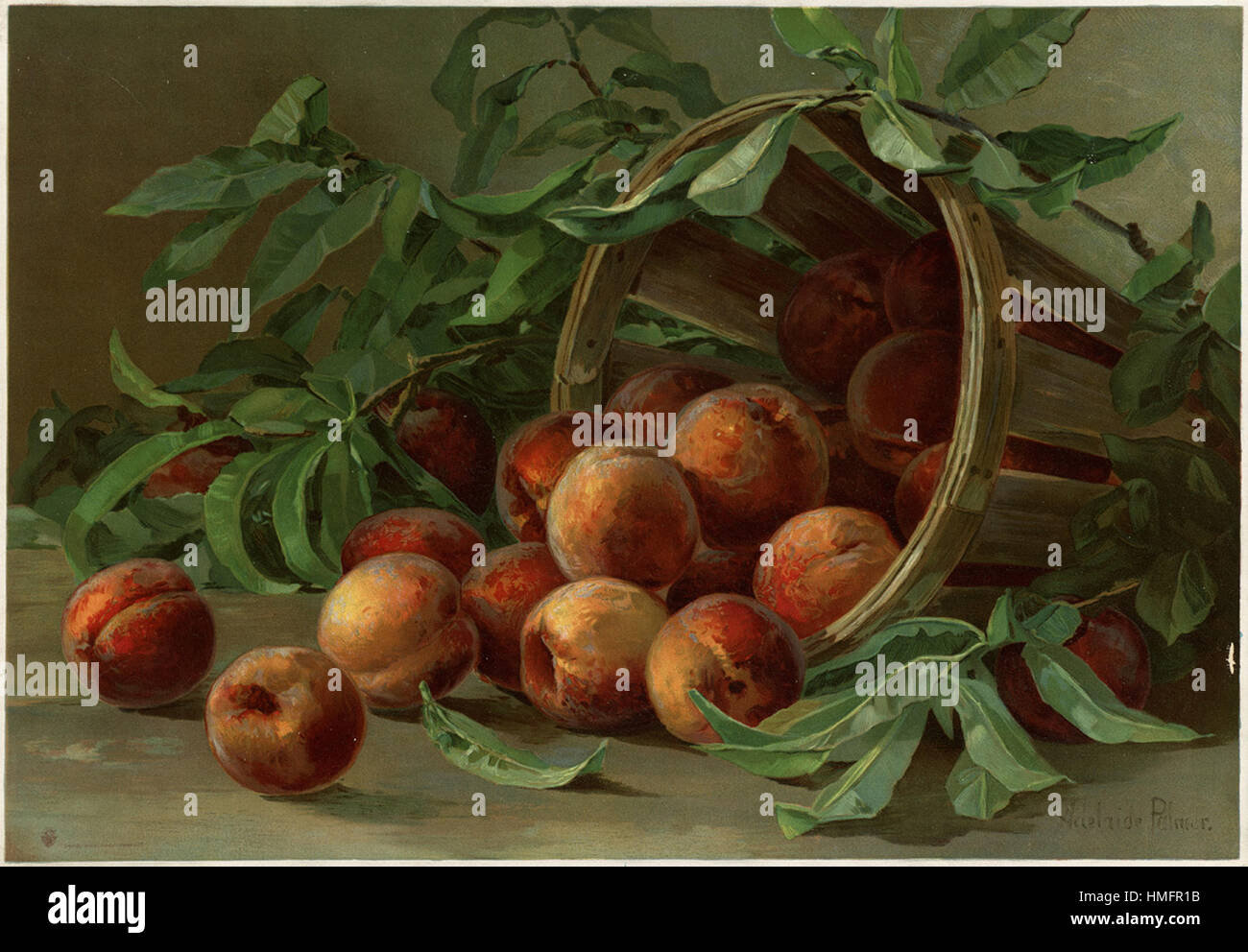 Louis Prang - Peaches In a Basket Stock Photo - Alamy