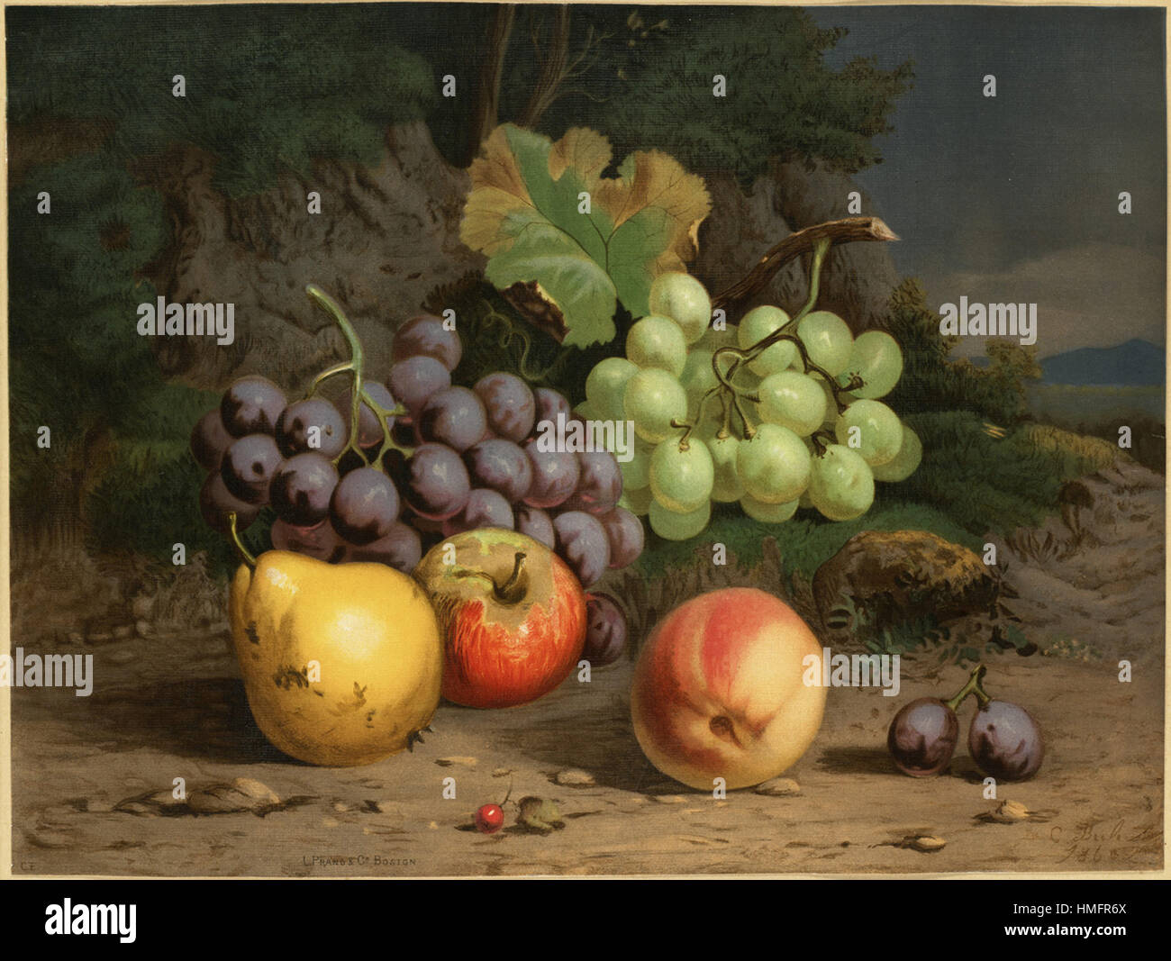 Louis Prang - Fruit Piece No. 1 Stock Photo - Alamy