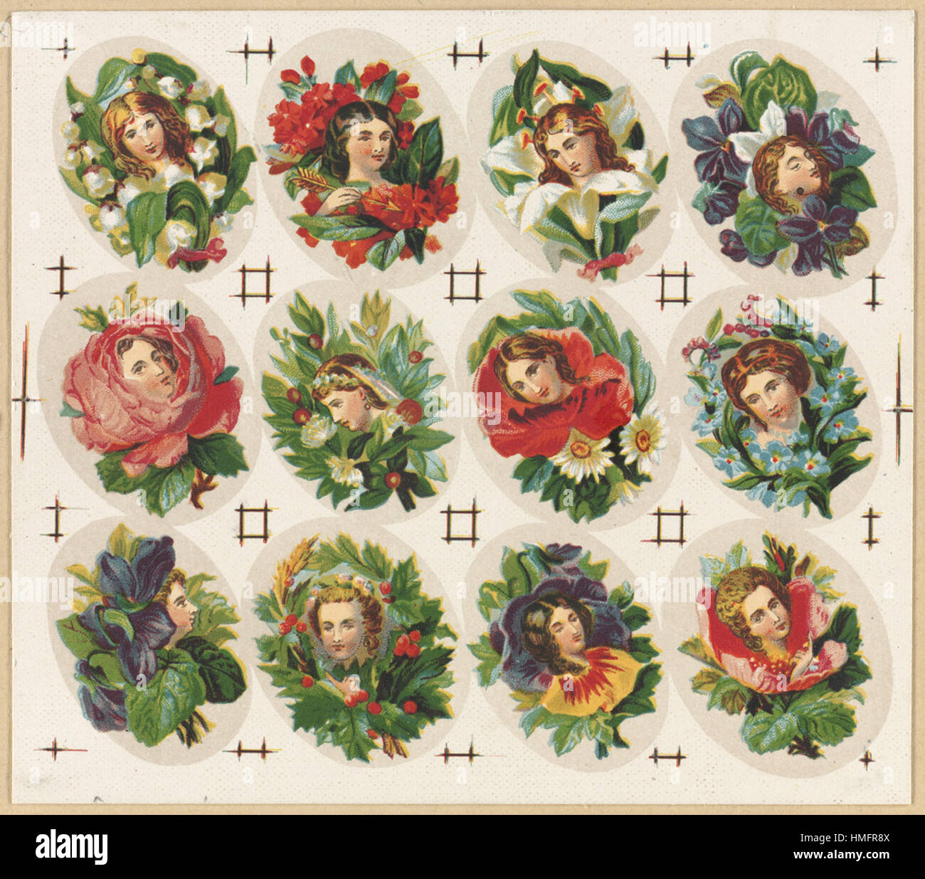Louis Prang - Twelve Small Floral Portraits on One Sheet Stock Photo ...