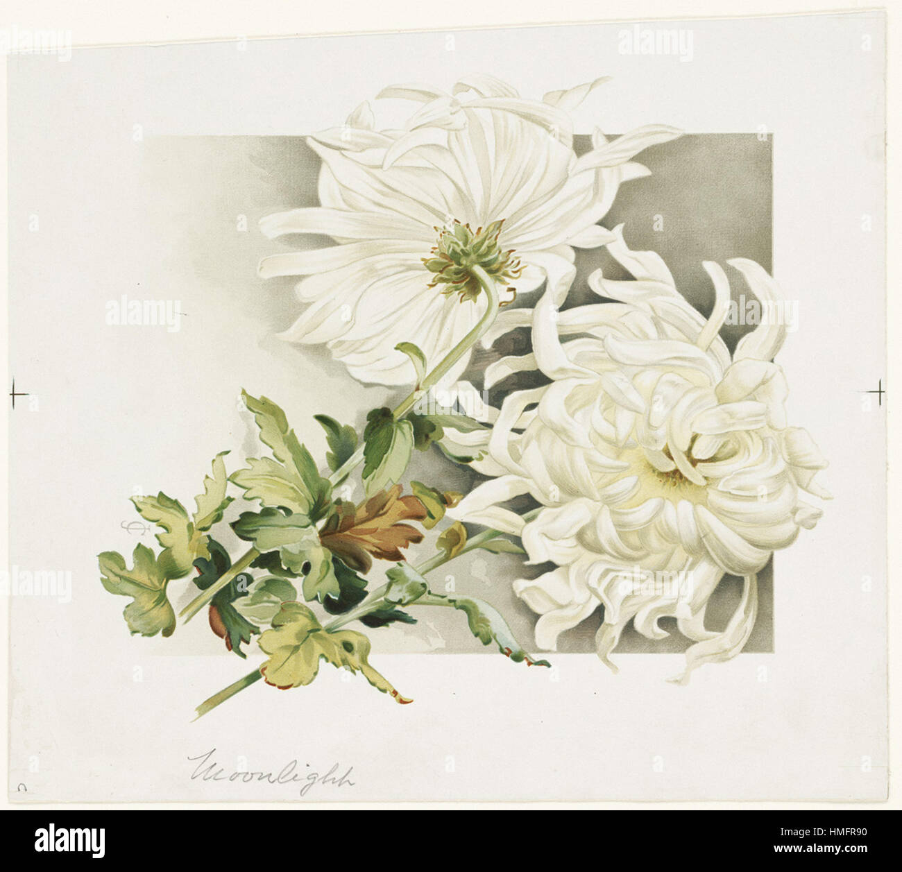 Louis Prang - Moonlight Stock Photo - Alamy