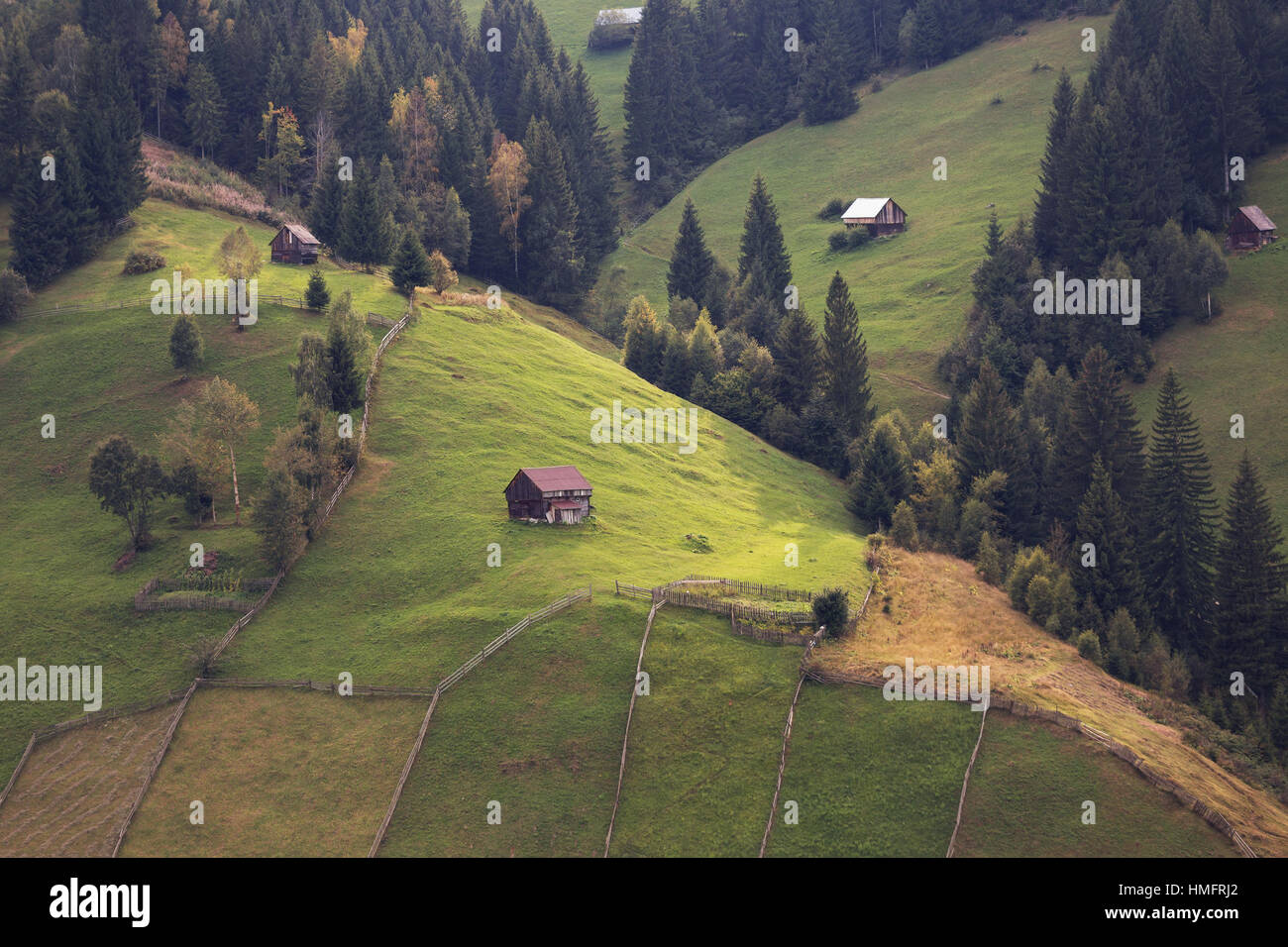 Summer alpine landscape Stock Photo - Alamy