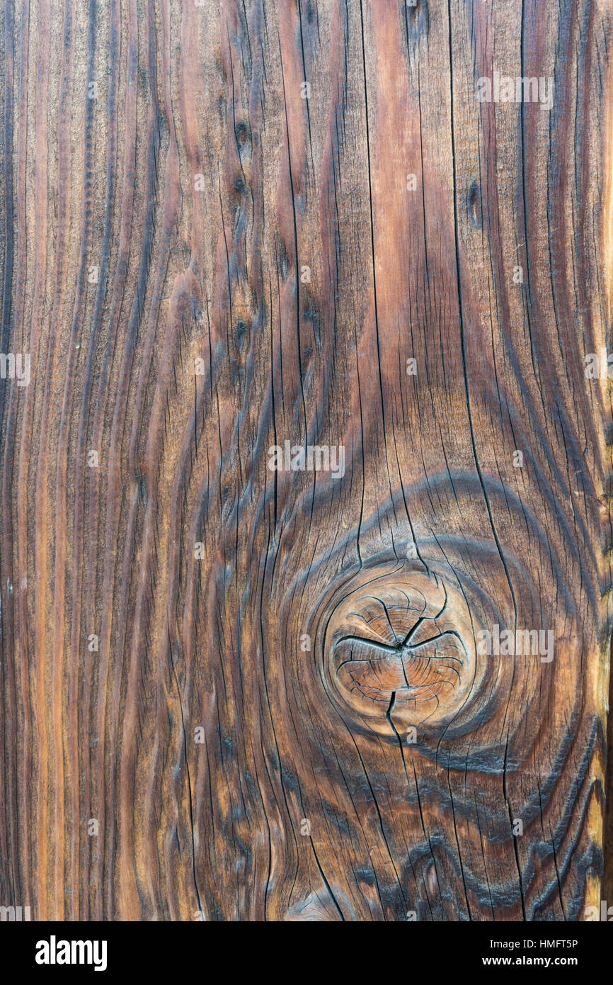 Rustic japan pine wood texture hi-res stock photography and images - Alamy