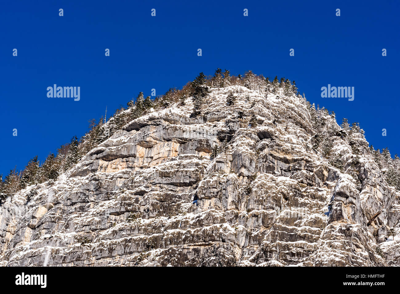 Side View of Mountain Peak with Blue Sky and Pine Forest Stock Photo ...