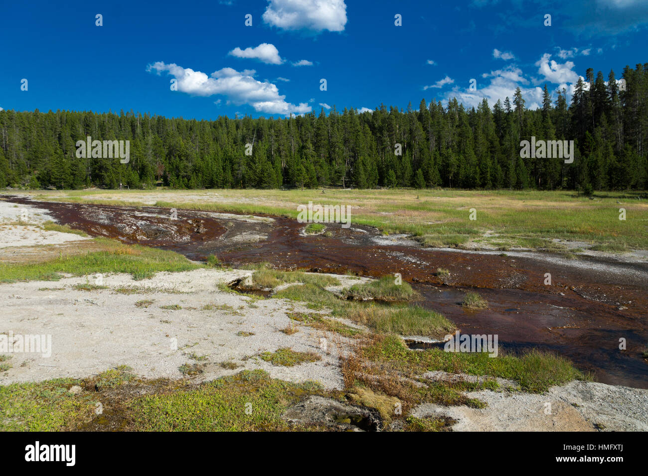 Lower Geyser Basin, Yellowstone National Park, Wyoming, USA Stock Photo ...
