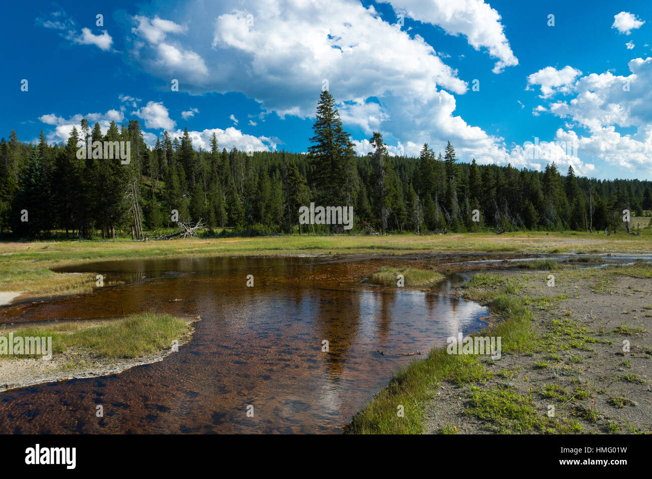 Lower Geyser Basin, Yellowstone National Park, Wyoming, USA Stock Photo ...