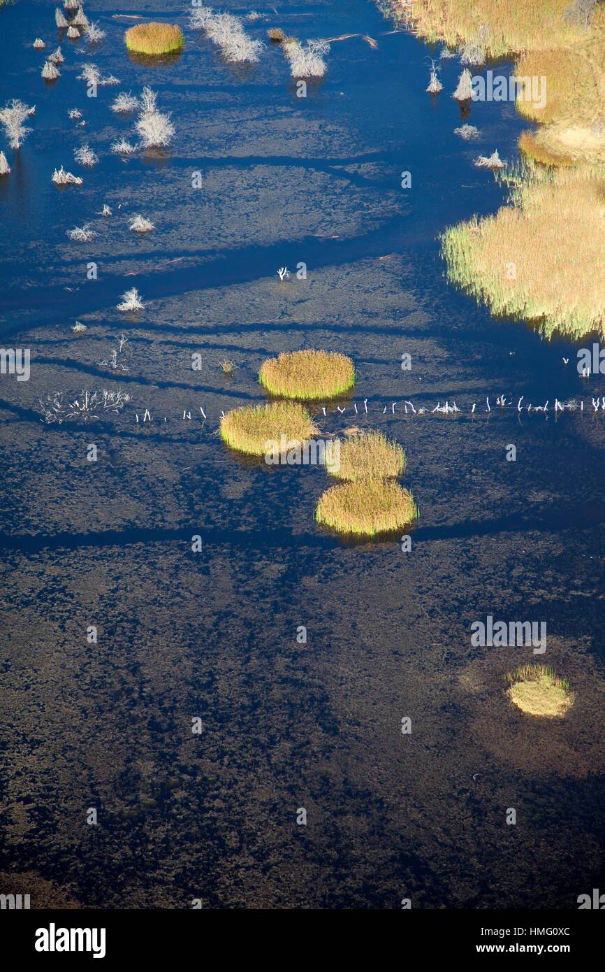 Okavango inland delta hi-res stock photography and images - Alamy