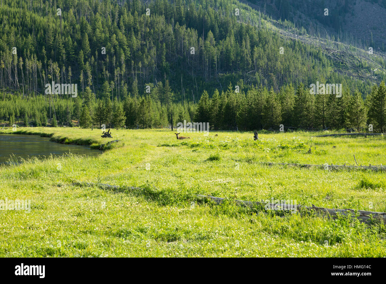 Madison hill park hi-res stock photography and images - Alamy