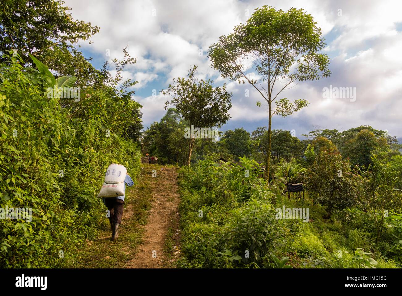 Quiche guatemala wood hi-res stock photography and images - Alamy