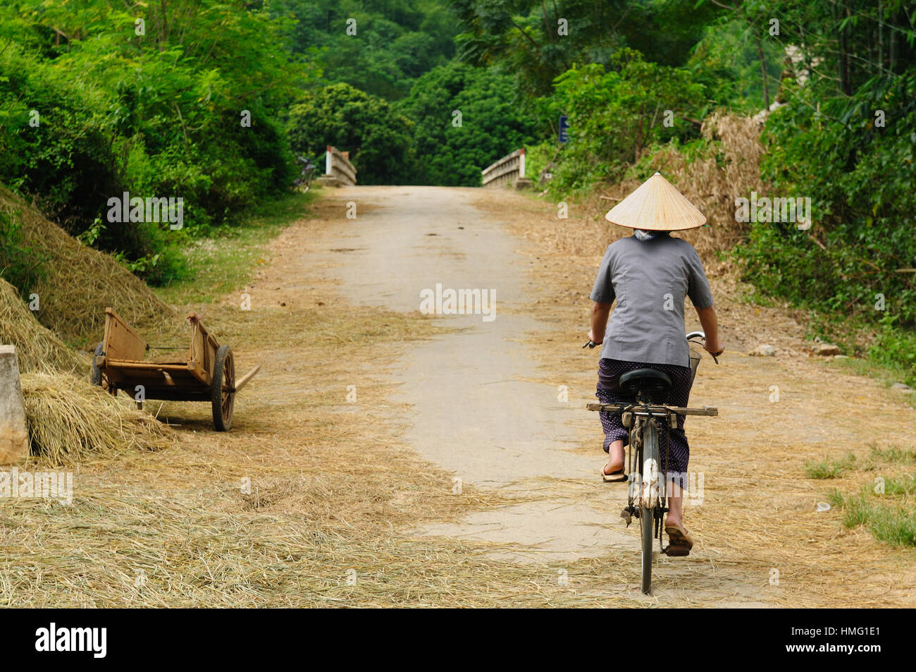 Vietnam - rural scene on the village Stock Photo - Alamy