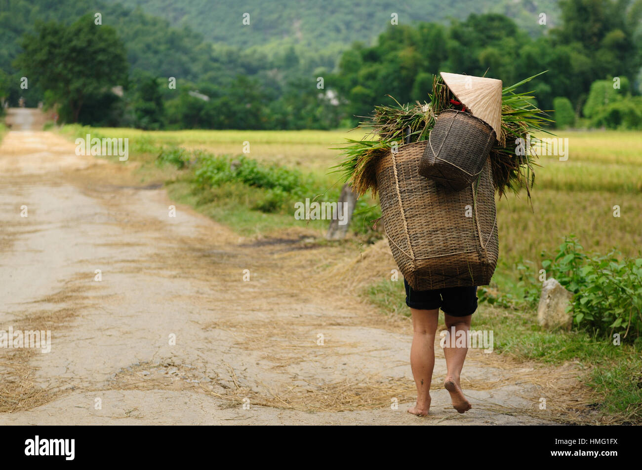 Vietnam - rural scene on the village Stock Photo - Alamy